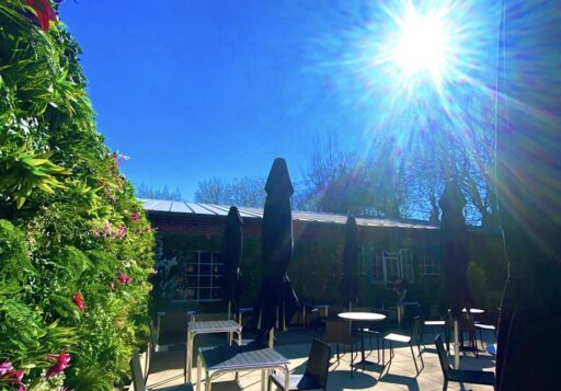 Wheelbarrow unveils new sun terrace - Good News Liverpool